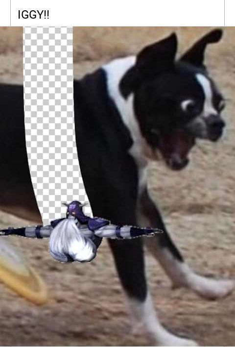 Hot | Home of JoJokes